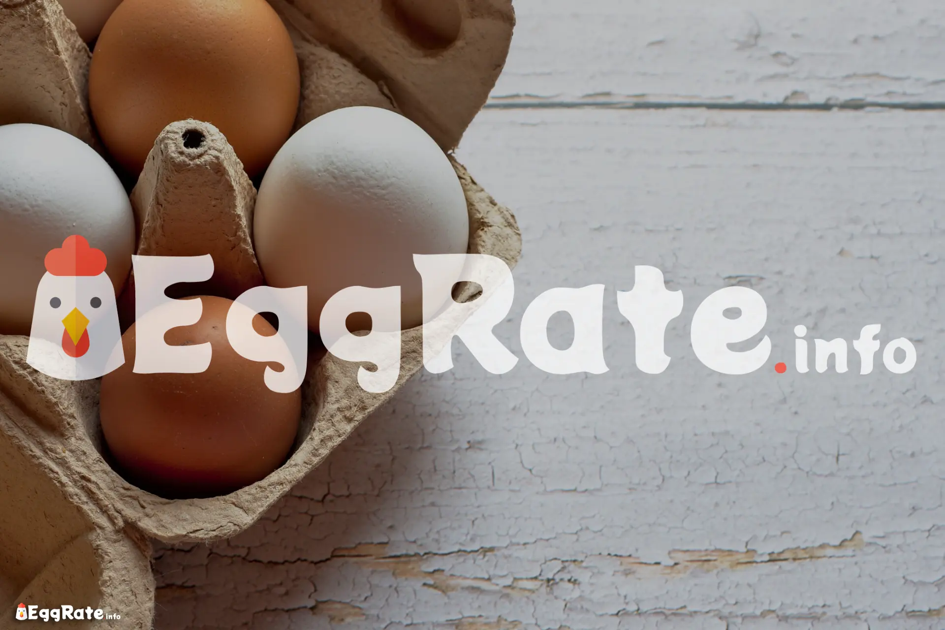 Today NECC Egg Rate in India - EggRate.info